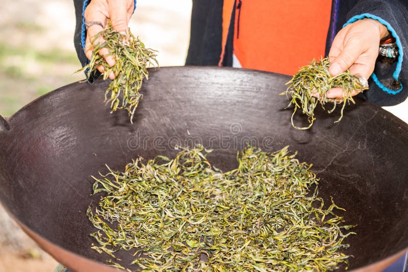 Tea process by hand stock image. Image of fresh, process - 70550543