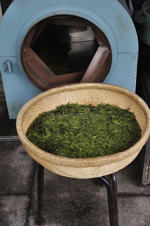 Tea processing stock image. Image of machine, process - 26307829