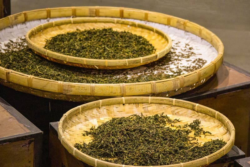 Tea Processing : Drying Tea Leaves Stock Image - Image of china, aroma ...
