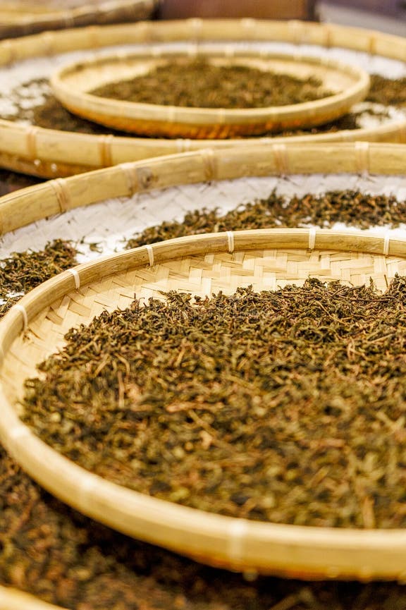 Tea Processing : Drying Tea Leaves Stock Photo - Image of drying ...
