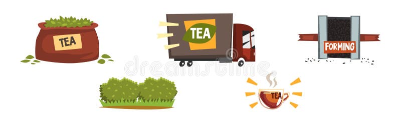 Tea Production and Process with Growing and Distribution Vector Set ...