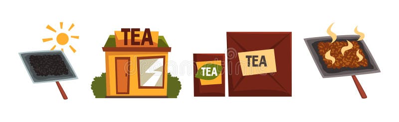 Tea Production and Process with Growing and Distribution Vector Set ...