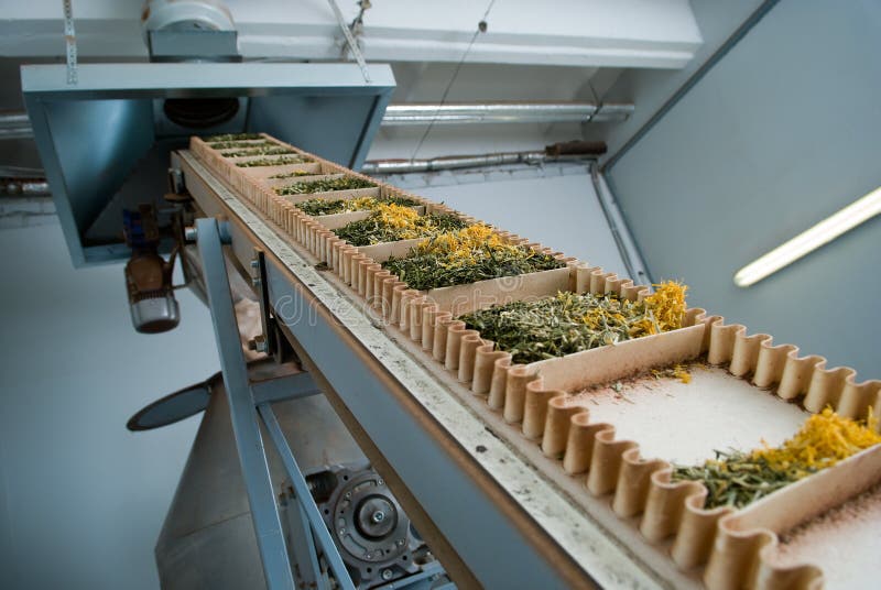 Tea raw stock photo. Image of production, food, lift - 25739736