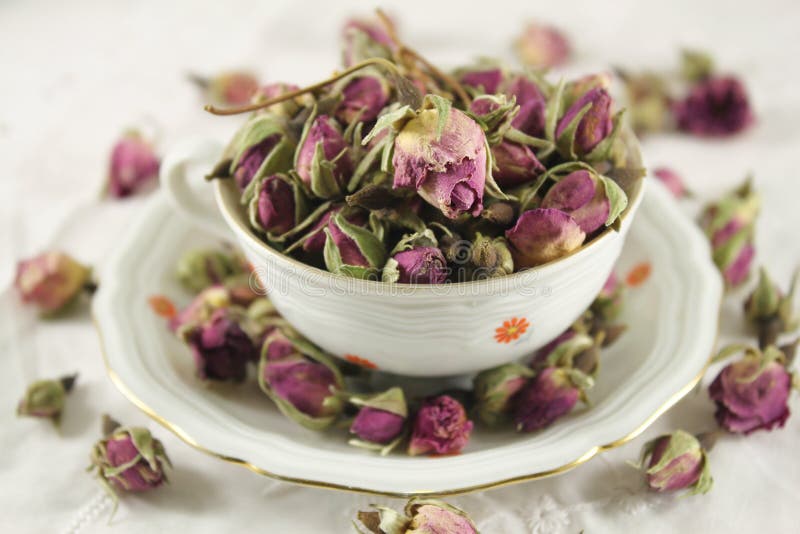 Tea rose buds stock photo. Image of herb, pink, beauty - 38413586