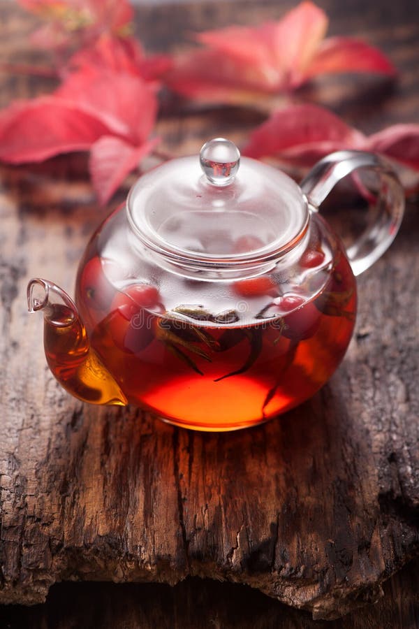 Tea rosehip, vertical stock image. Image of health, rose - 60392821