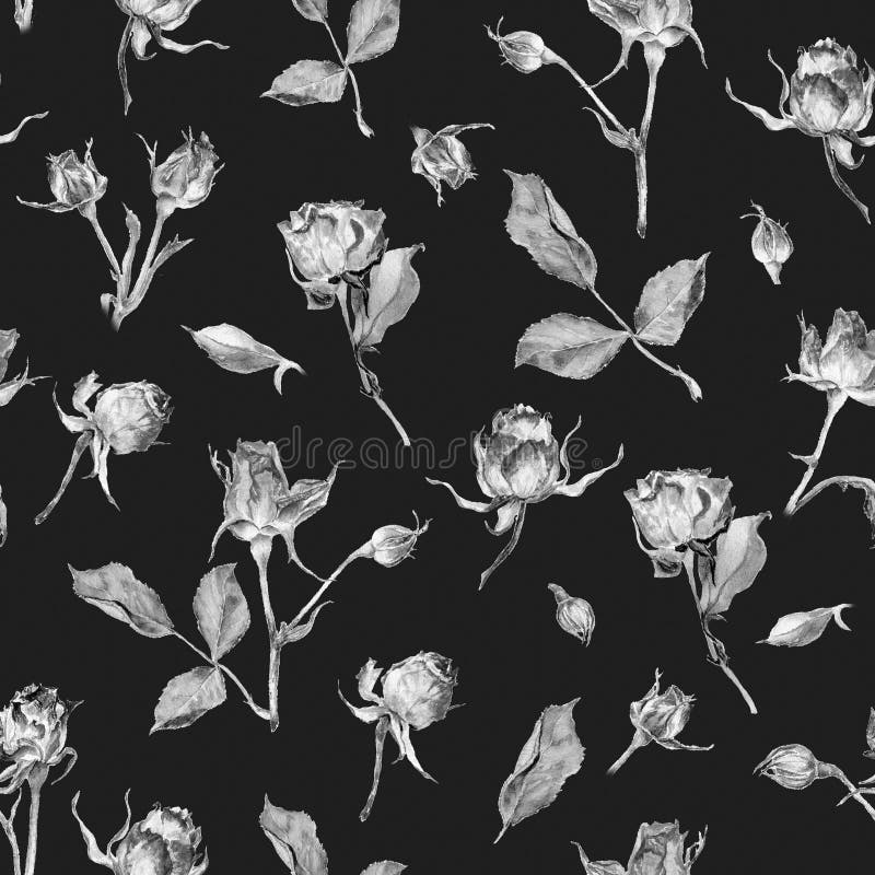 Tea Roses Watercolor Seamless Pattern on Black Background. Black and ...