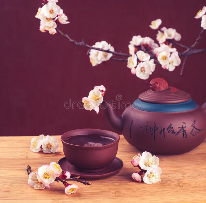 Tea & sakura_12 stock photo. Image of breakfast, flower - 52991694