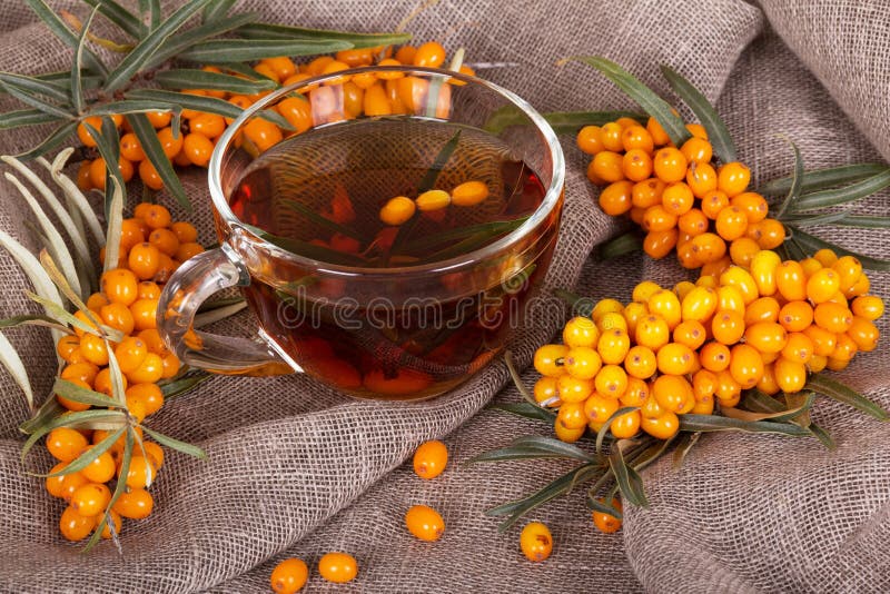 Tea of Sea-buckthorn Berries on Sacking Stock Photo - Image of mint ...