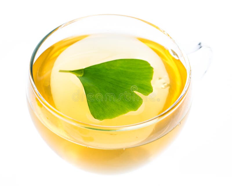 Ginkgo Tea with a Floating Ginkgo Leaf Stock Photo - Image of leaf ...