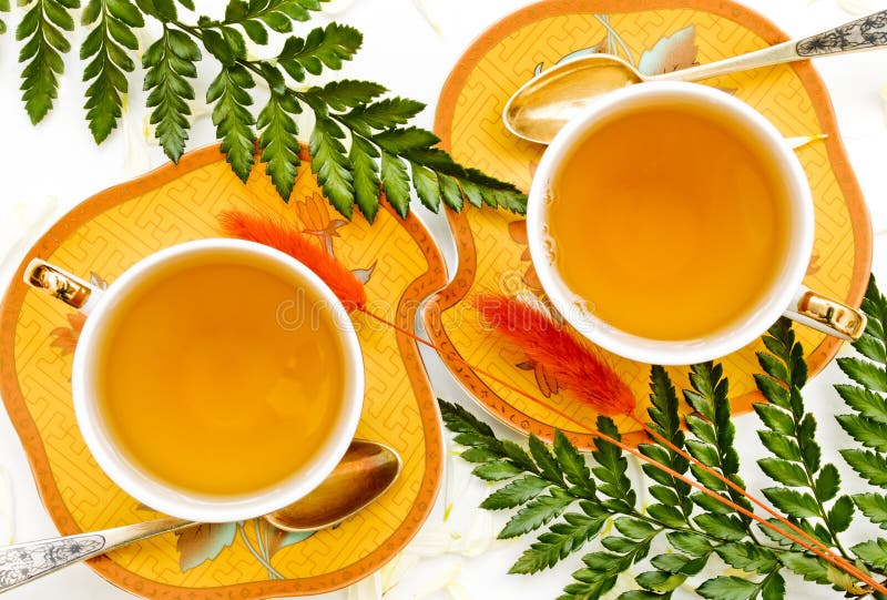 Tea is served for two stock image. Image of china, afternoon - 22162927