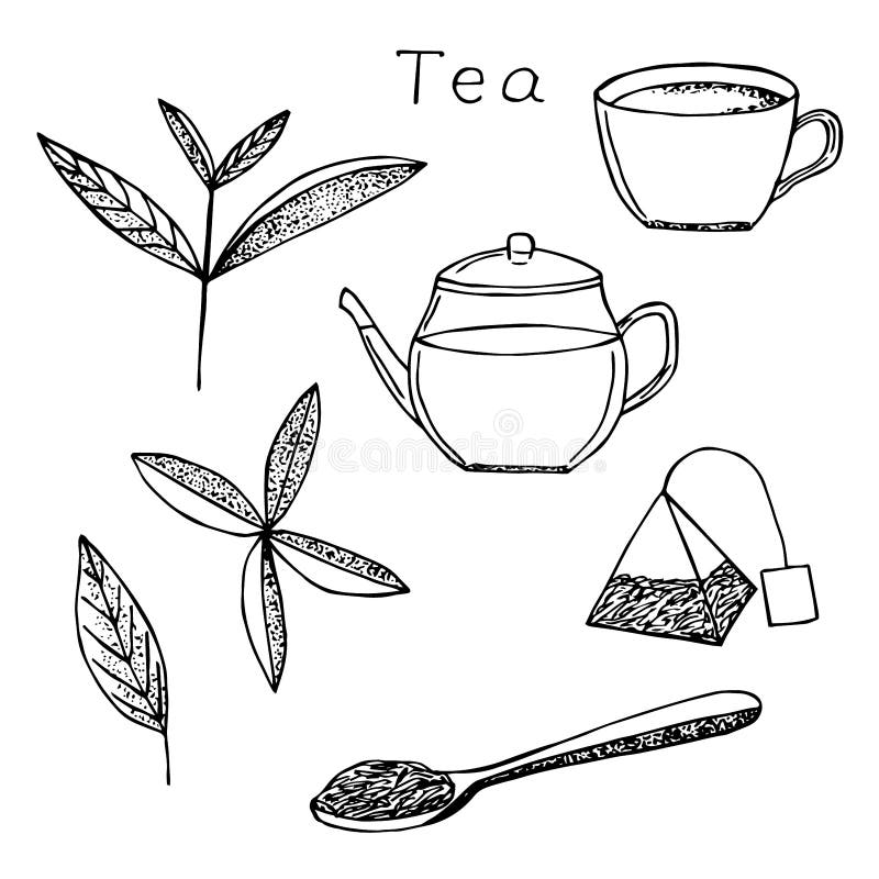 Tea Set Vector Illustration, Hand Drawing Sketch, Tea Leaves, Cup ...