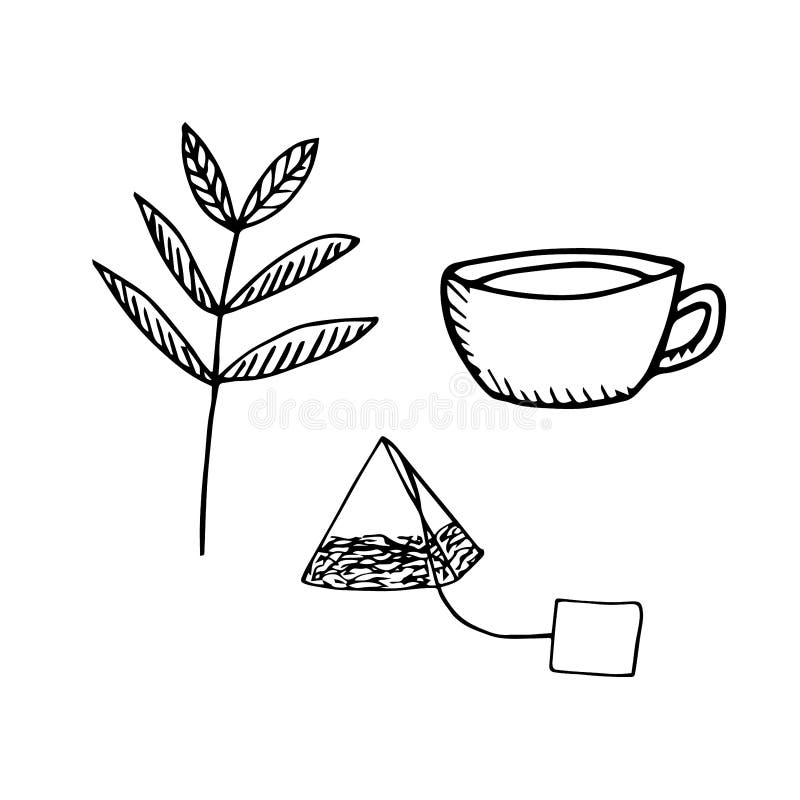 Tea Set, Vector Illustration, Hand Drawing Sketch Stock Illustration ...