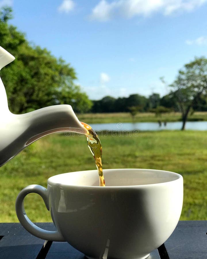 Tea Set Vessel with a Spout and a Handle in Which Tea is Brewed and ...