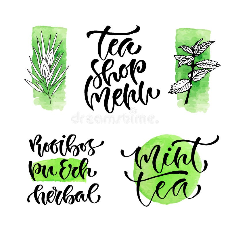 Tea Shop Menu Vector Calligraphic Phrase for Cover. Handwritten Tea ...