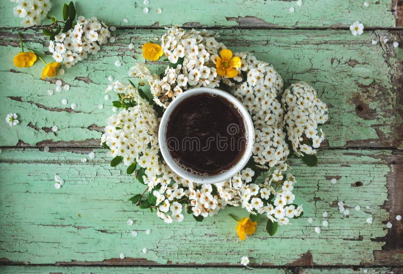 Tea with Spring Background stock image. Image of fresh - 138967615