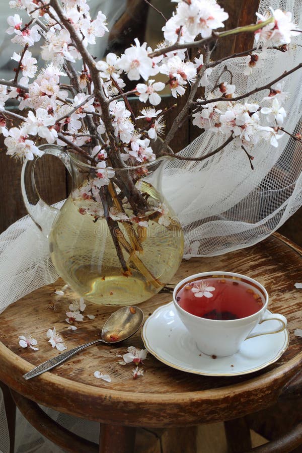 Tea and spring bouquet stock photo. Image of spring, white - 68051334