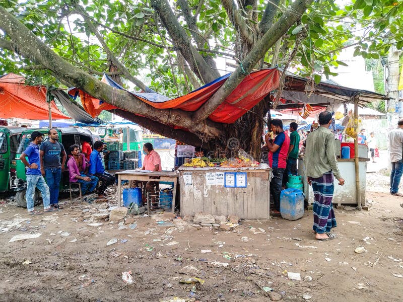 Tea Stall in Banyan Tree from Rural Aria of Bangladesh Editorial Stock ...