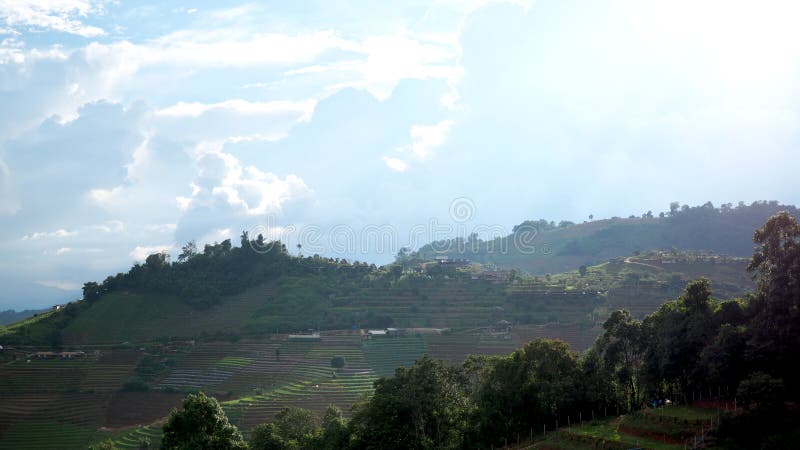 Tea Step Field and Mountain View. Terrace Cropping. Stock Photo - Image ...