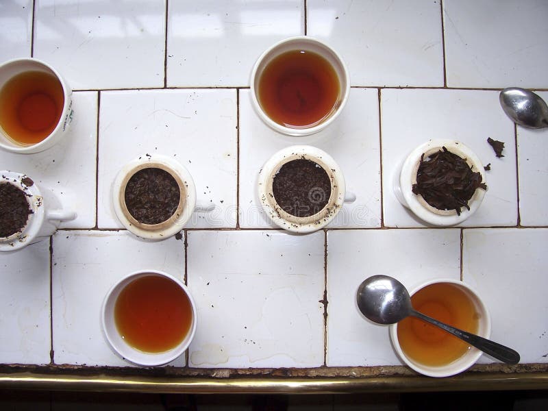 Tea Testing Room at a Tea Plantation in Sri Lanka Stock Photo - Image ...
