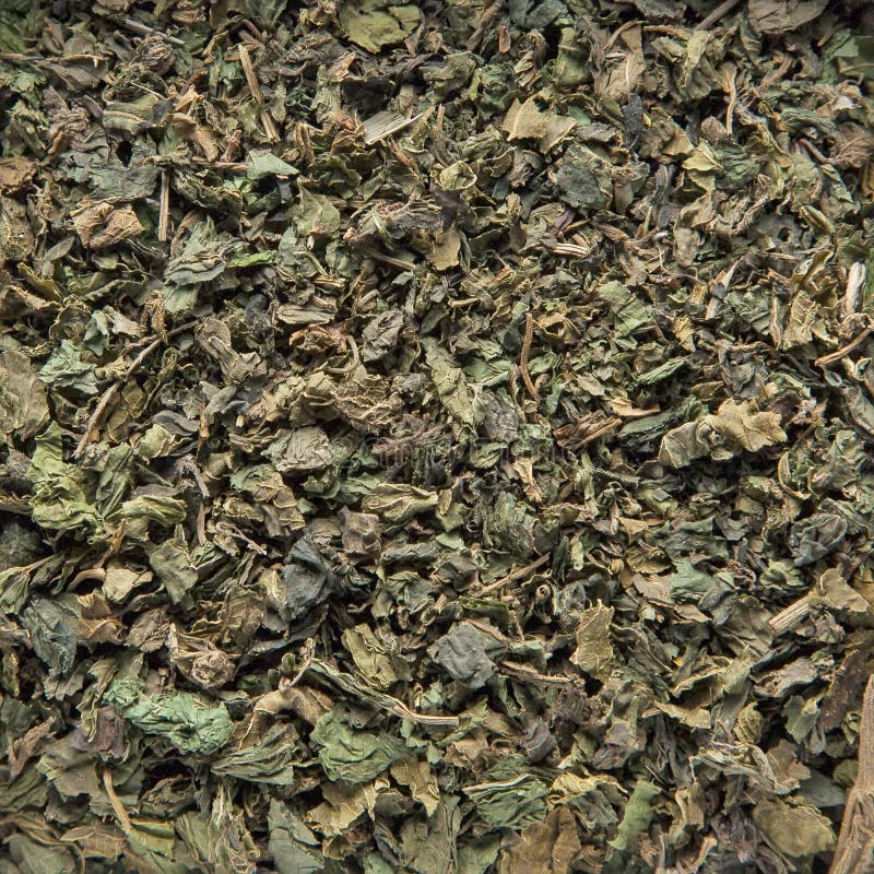 Tea texture Nettle flavour stock image. Image of flavour - 143378495