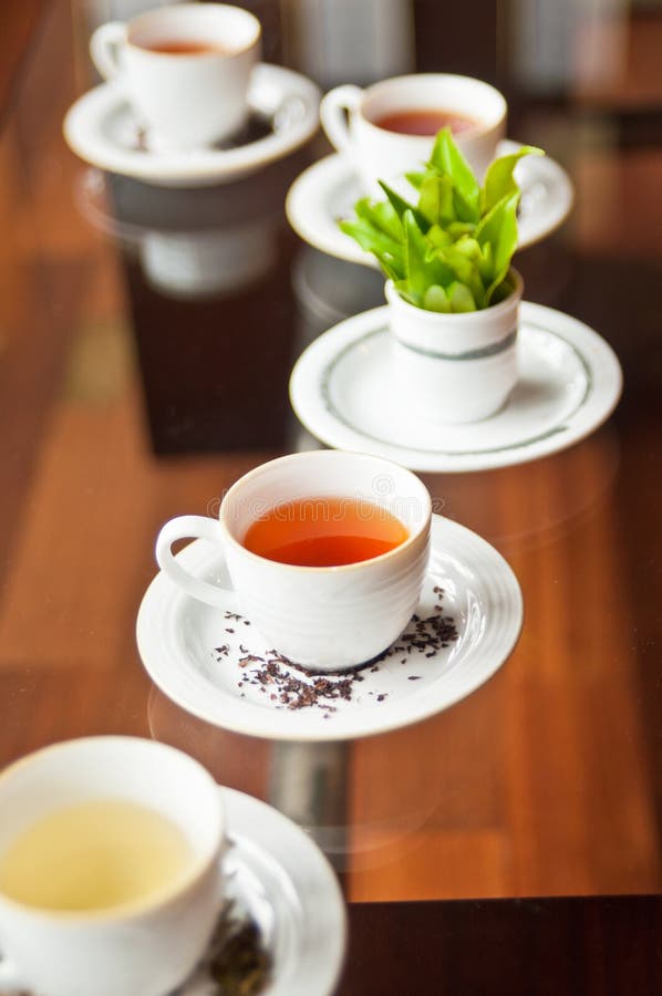 Tea time stock photo. Image of leaves, fresh, antioxidant - 23473592