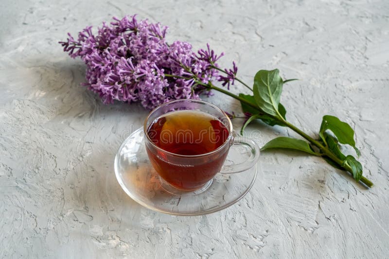 Tea Time. Black Tea in Transparent Cup with Saucer and Branch of Lilac ...