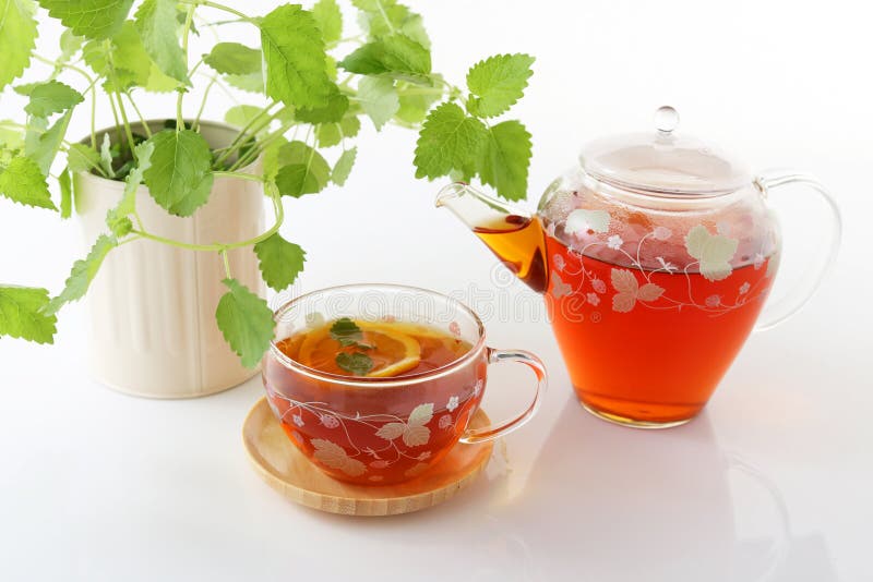 Tea time stock image. Image of leaf, relax, happy, beautiful - 59070777