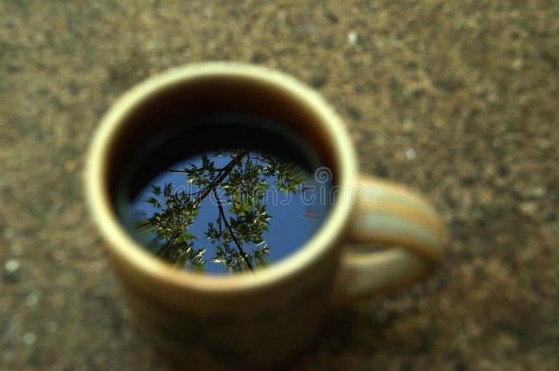 Tea Tree stock image. Image of drink, coffee, clever, shops - 2736685