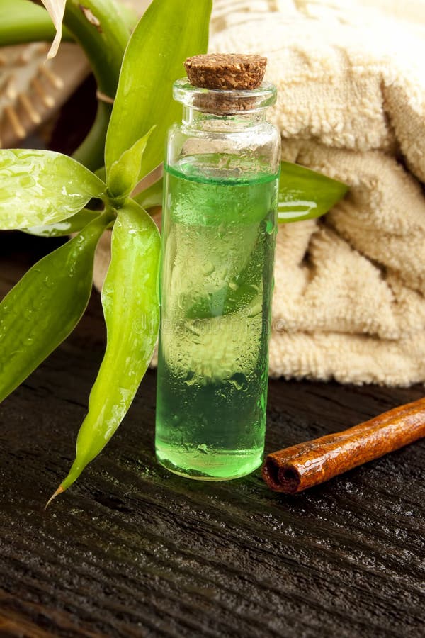 Essential Oil Bottle.Tea Tree Essence Stock Image - Image of plant ...