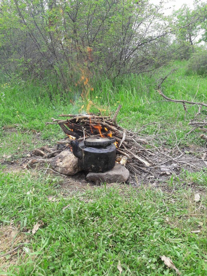 Tea with tree fire stock image. Image of fire, teapot - 123933511