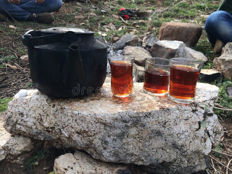 Tea with tree fire stock photo. Image of kurdish, dried - 124023516