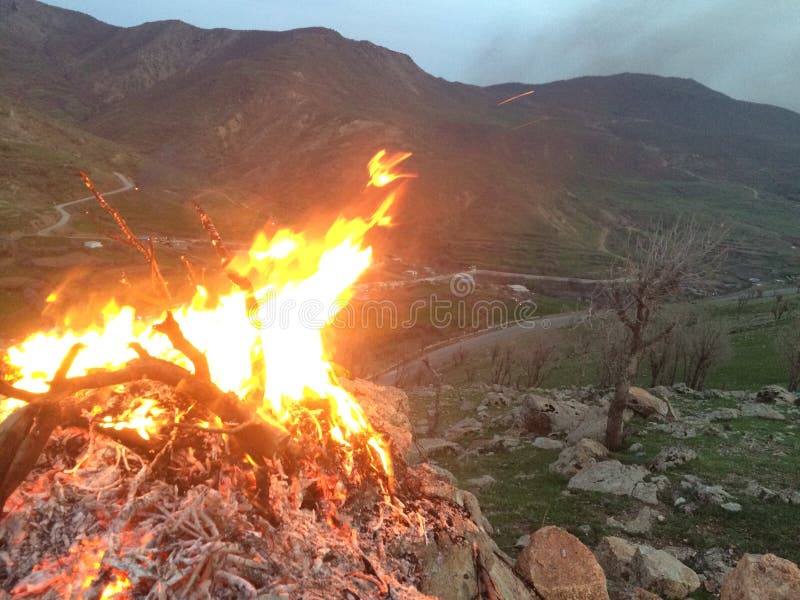 Tea with tree fire stock image. Image of trees, tree - 124023531