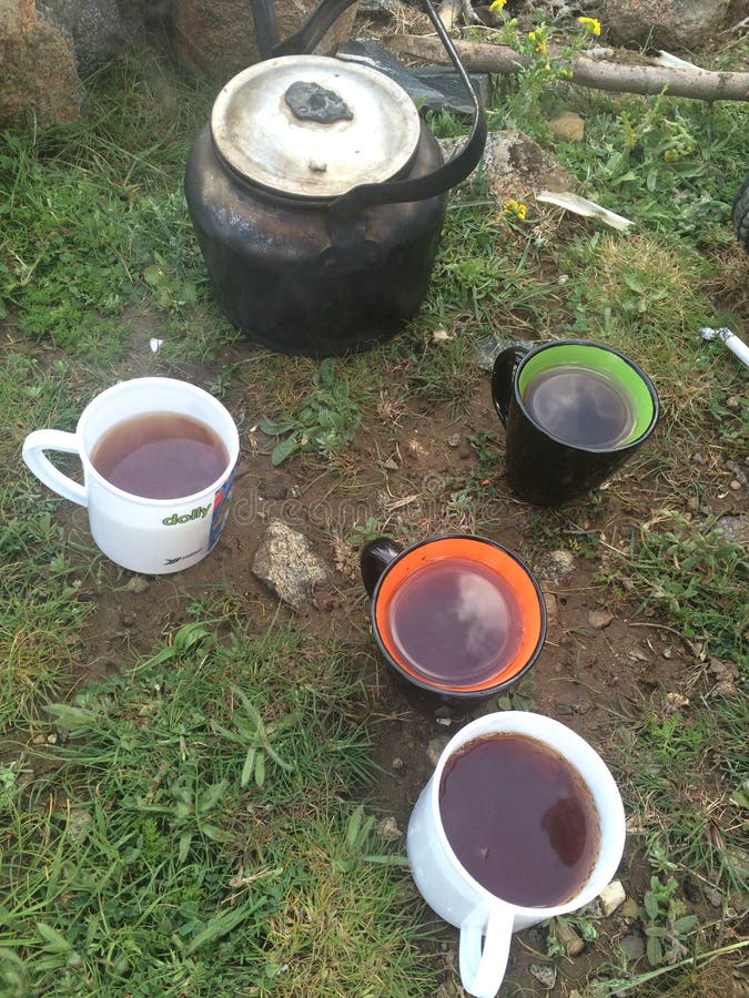 Tea with tree fire stock image. Image of ktry, dried - 124495641