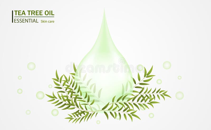 Tea Tree Oil Drop of Essential Oil. Vector Illustration Stock Vector ...