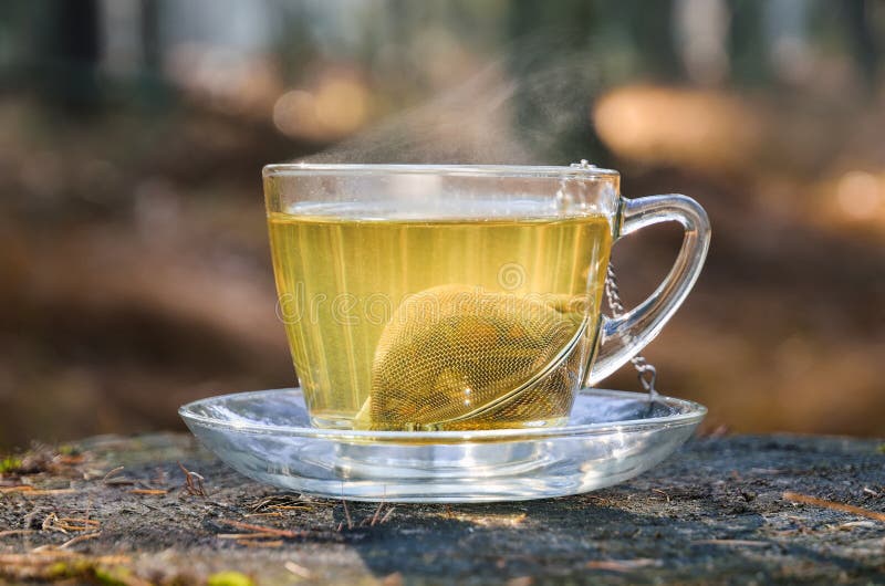 Interesting Idea for an Autumn Drink. Stock Photo - Image of background ...