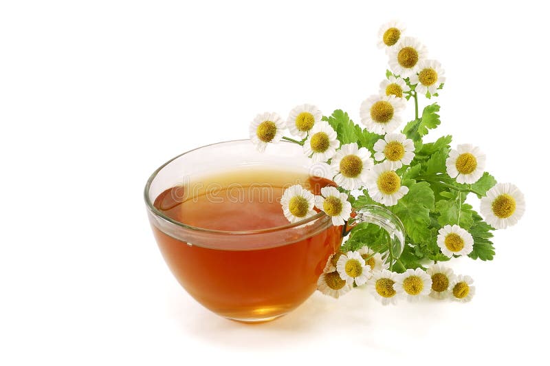 Black chokeberry tea stock image. Image of apple, berries - 20683939