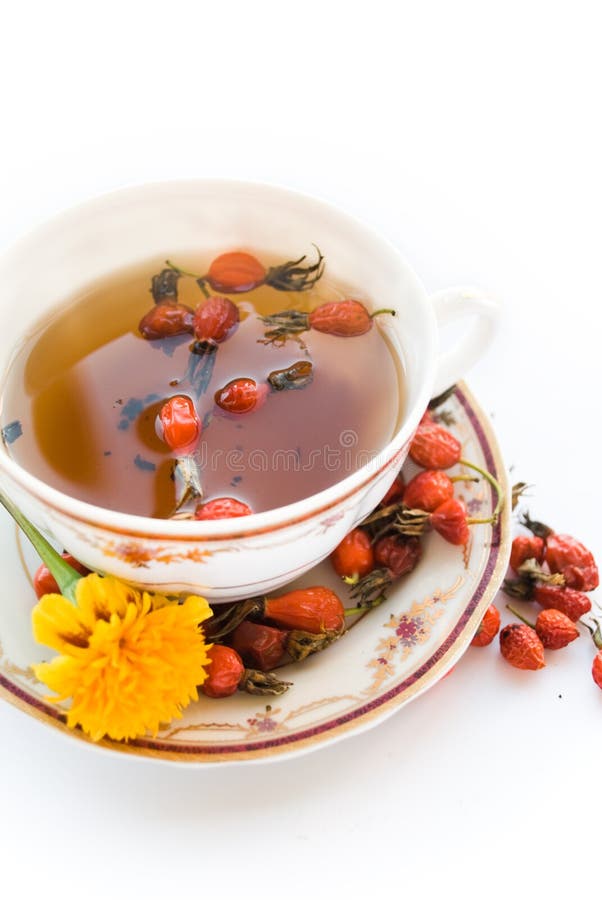 Tea with a wild rose stock image. Image of field, detail - 11192243