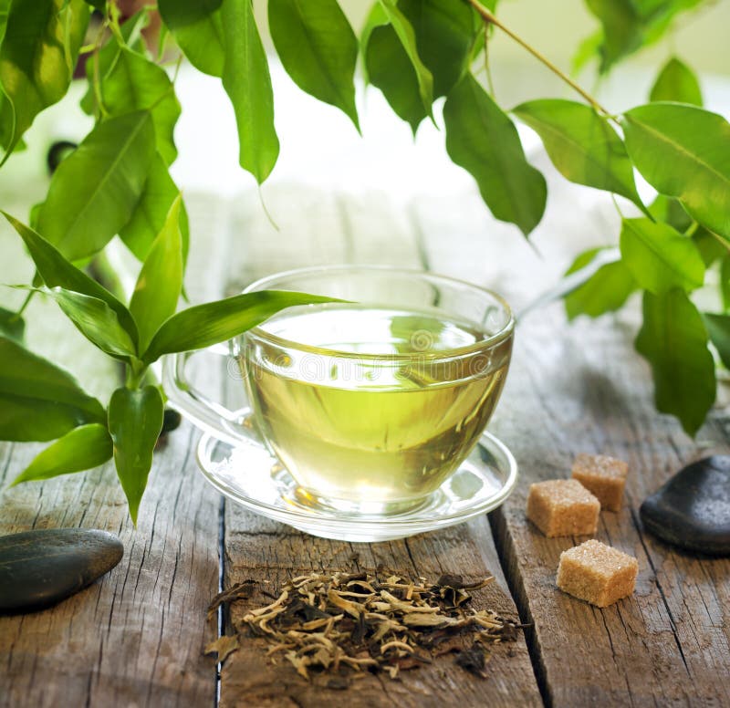 Green spa tea stock photo. Image of relaxation, boost - 49560044