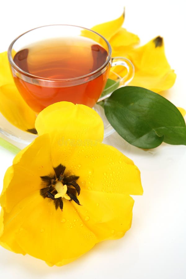 Tea and yellow tulip stock photo. Image of drink, background - 29394766