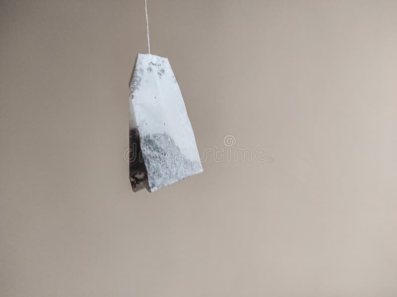Teabag hanging isolated stock image. Image of hanging - 236656075