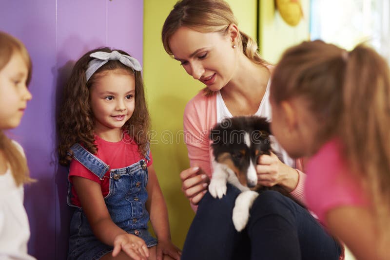 Teacher and Children Looking after the Dog Stock Photo - Image of work ...