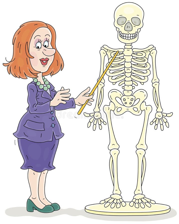 Anatomy Lesson with a Skeleton at School Stock Vector - Illustration of ...