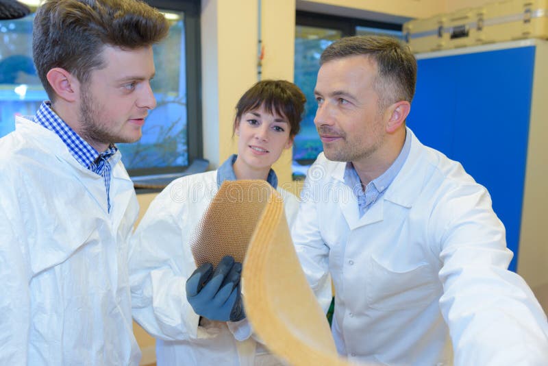 Teacher Showing Material To Students Stock Image - Image of curious ...