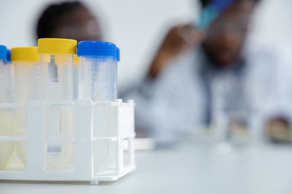 Teacher and Student Working in a School Laboratory and Looking Involved ...