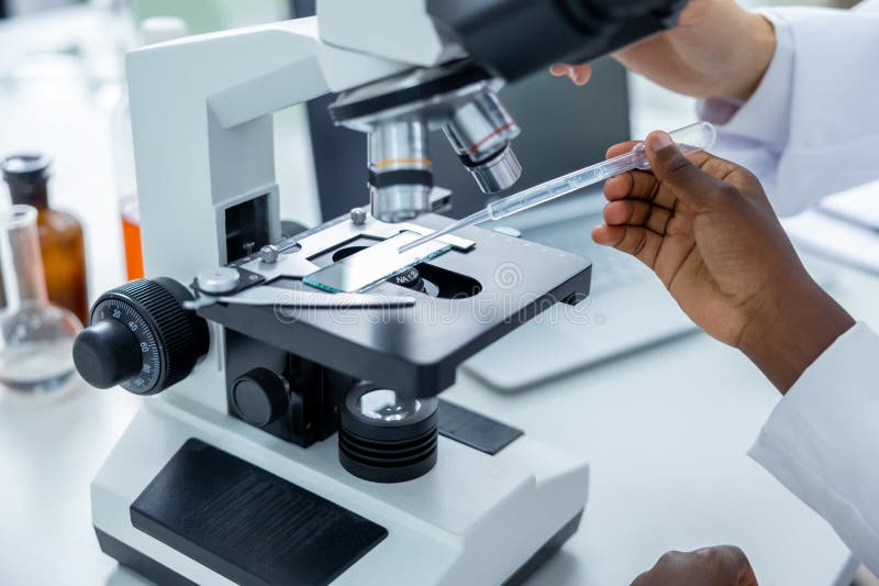 Teacher and a Student Working in a School Scientific Laboratory Stock ...