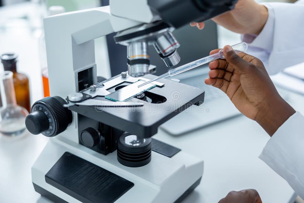 Teacher and a Student Working in a School Scientific Laboratory Stock ...