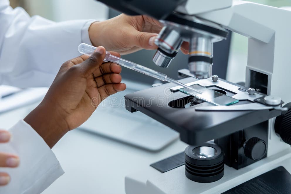 Teacher and a Student Working in a School Scientific Laboratory Stock ...