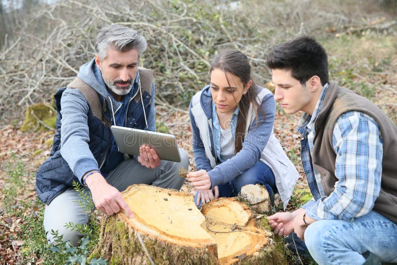 Teacher with Students Analysing Tree Trunk Stock Image - Image of adult ...