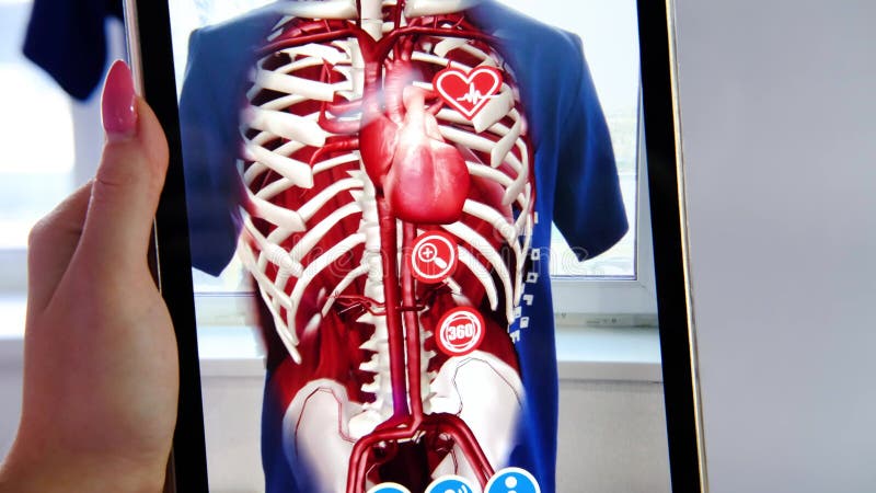 Teacher Demonstrates Human Circulatory System Using Augmented Reality ...