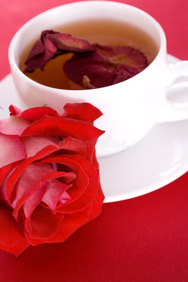 Teacup stock image. Image of natural, infusion, taste - 36336631
